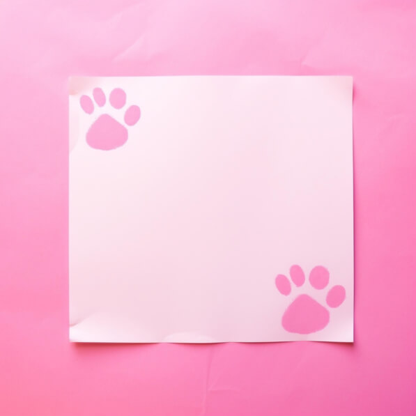 Download Blank Paper with Pink Paw Prints Backgrounds Online - Creative ...