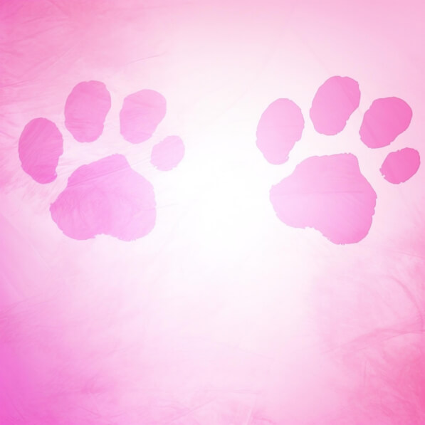 Download Pink Paw Prints on Soft Background Backgrounds Online ...