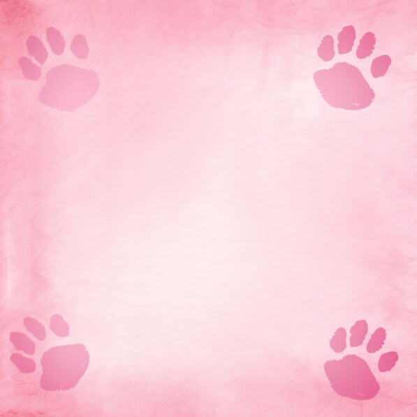 Baixe Fundo de Impressão de Pata Rosa Brincalhona Backgrounds ...