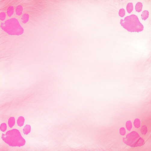 Download Pink Background with Paw Prints Backgrounds Online - Creative ...