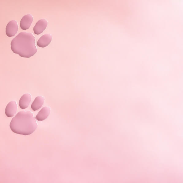 Baixe Fundo Rosa Suave com Impressões de Patas Backgrounds - Creative ...