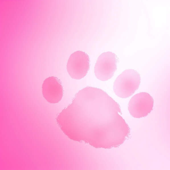 Download Stylized Pink Paw Print on a Soft Pink Background Backgrounds ...