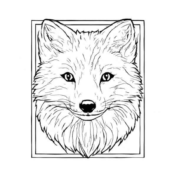 Download Line Drawing of a Fox Coloring pages Online - Creative Fabrica