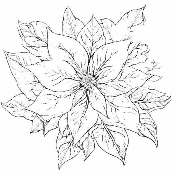 Download Detailed Line Drawing of a Flower Coloring pages Online ...