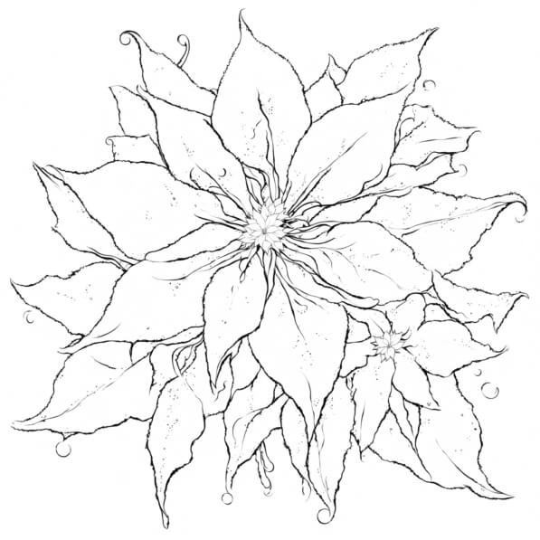 Download Intricate Flower Line Drawing Coloring pages Online - Creative ...