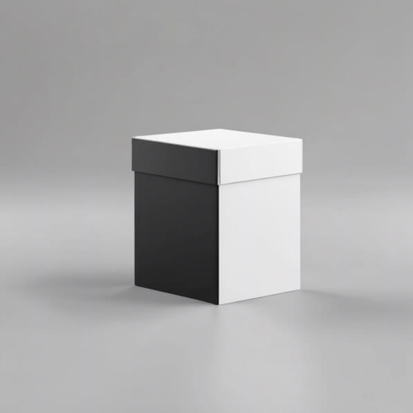 Download Minimalist Black and White Box Mockups Online - Creative Fabrica