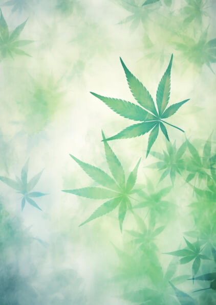 Download Dreamy Green Cannabis Leaves Background Backgrounds Online ...