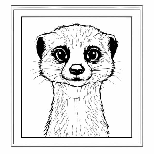 Download Illustration of a Meerkat Coloring pages Online - Creative Fabrica