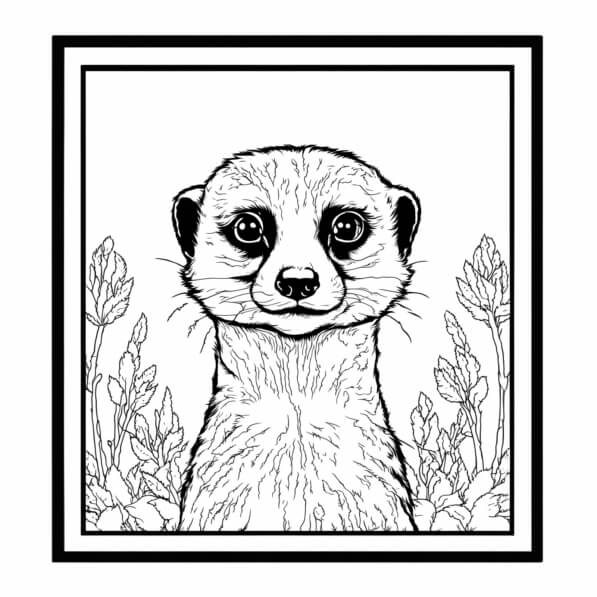Download Line Drawing of a Meerkat with Foliage Coloring pages Online ...