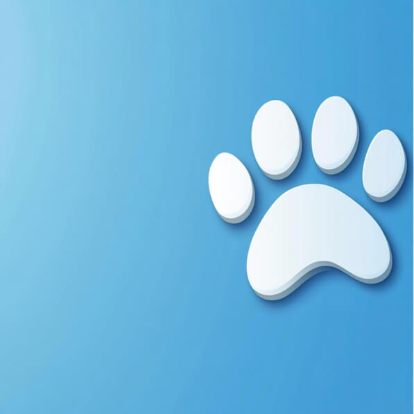 Download White Paw Print on Blue Background Backgrounds Online ...