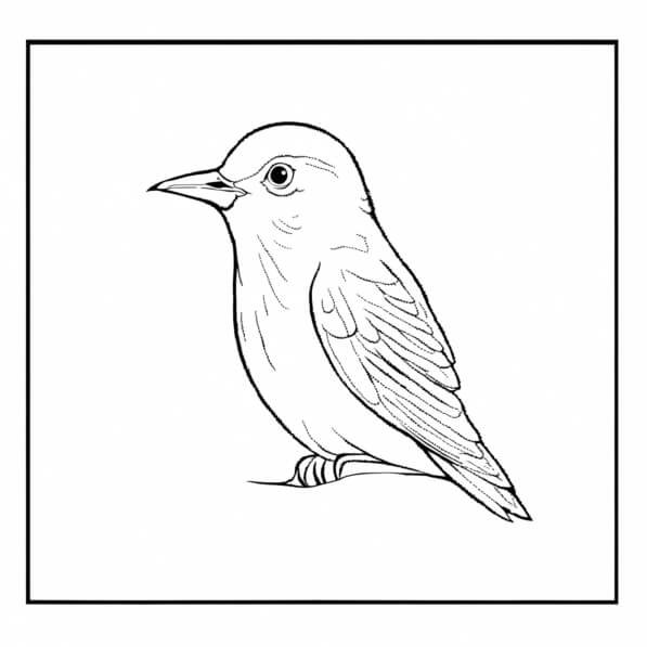 Download Line Drawing of a Bird Coloring pages Online - Creative Fabrica