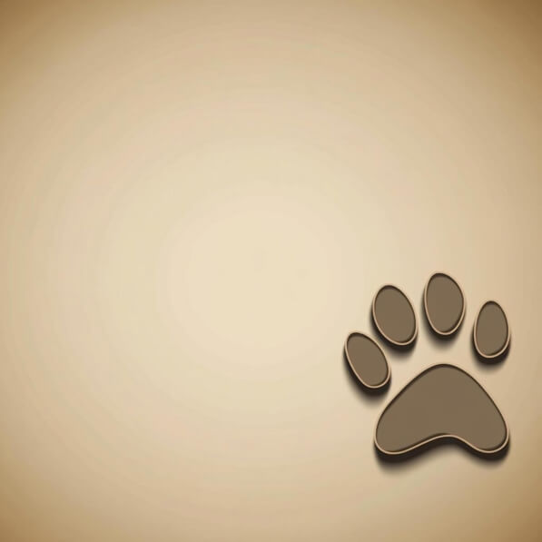 Download Stylized Paw Print on Beige Background Backgrounds Online ...