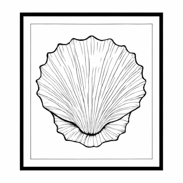 Download Illustration of a Scallop Shell Coloring pages Online ...