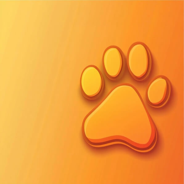 Download Stylized Orange Paw Print Backgrounds Online - Creative Fabrica