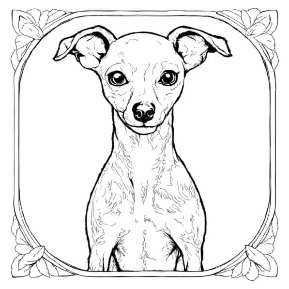 Download Stylized Drawing of a Dog Coloring pages Online - Creative Fabrica