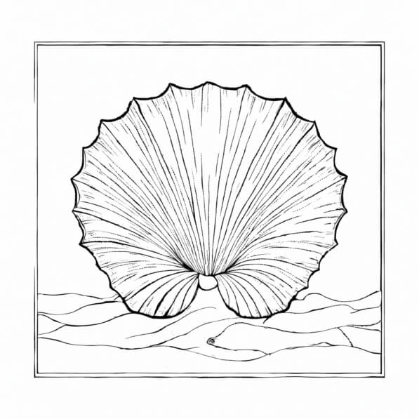 Download Illustration of a Scallop Shell Coloring pages Online ...