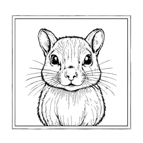 Download Cute Squirrel Illustration Coloring pages Online - Creative ...