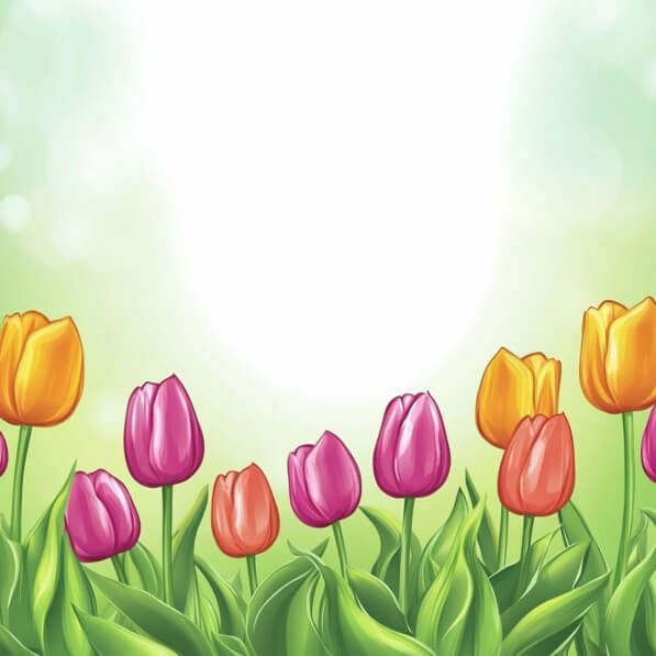 Download Colorful Tulips in Spring Garden Backgrounds Online - Creative ...