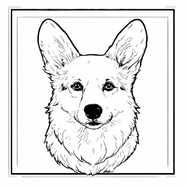 Download Corgi Face Illustration Coloring pages Online - Creative Fabrica