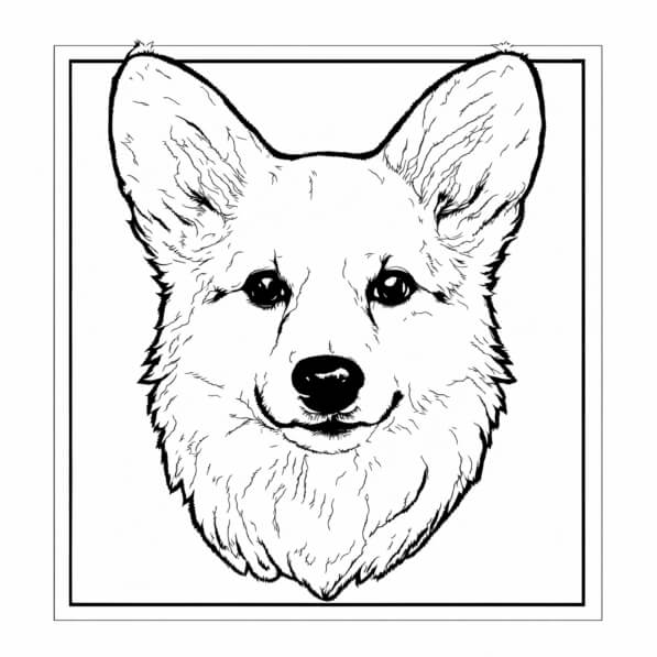 Download Line Drawing of a Corgi Coloring pages Online - Creative Fabrica