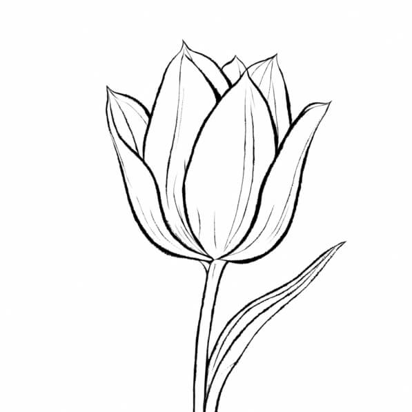 Download Stylized Tulip Drawing Coloring pages Online - Creative Fabrica