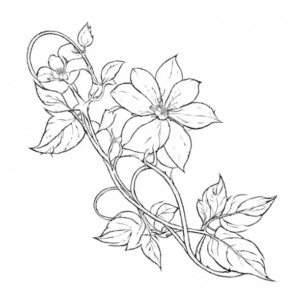 Baixe Desenho de linha intricado de uma videira florida Colorir páginas ...