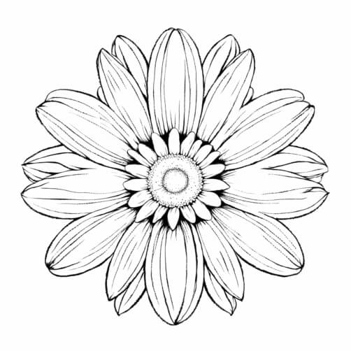 Download Intricate Line Drawing of a Daisy Flower Coloring pages Online ...