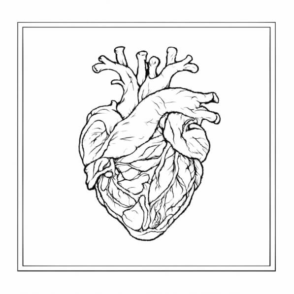 Descarga Ilustración artística de un corazón humano Páginas para ...