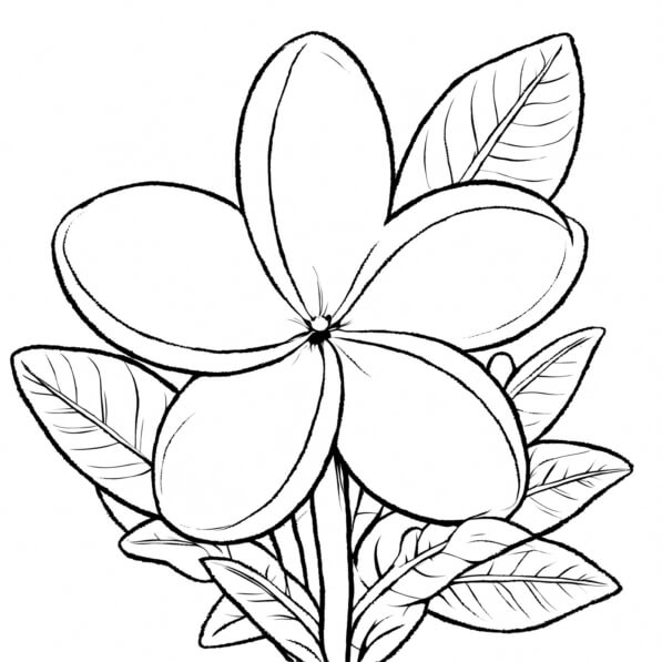 Descarga Diseño de Flor Delineada Páginas para colorear En Línea ...