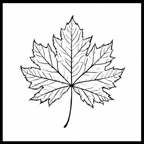 Download Intricately detailed drawing of a maple leaf Coloring pages ...