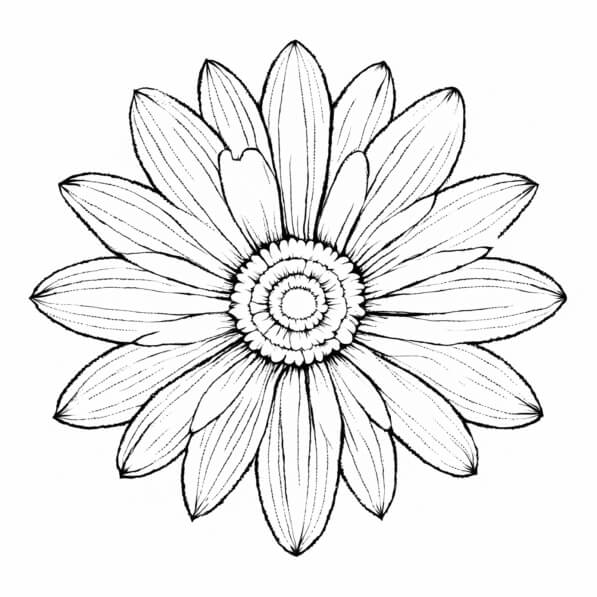 Download Detailed Line Drawing of a Flower Coloring pages Online ...