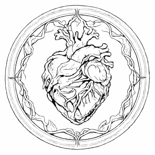 Download Intricate Anatomical Heart Illustration Coloring pages Online ...