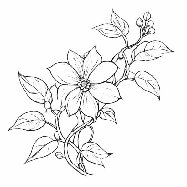 Download Intricate Flower Line Drawing Coloring pages Online - Creative ...