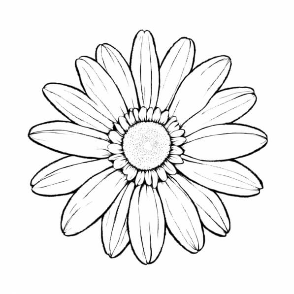 Download Black and White Illustration of a Daisy Flower Coloring pages ...