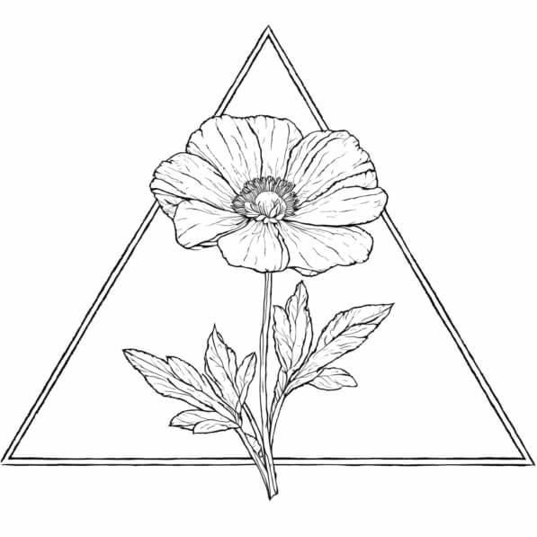 Download Line Drawing of a Flower in Triangle Frame Coloring pages ...