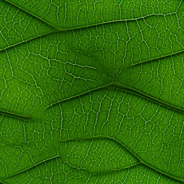 Leaf Patterns - Download Seamless Leaf Patterns for Free - Creative Fabrica