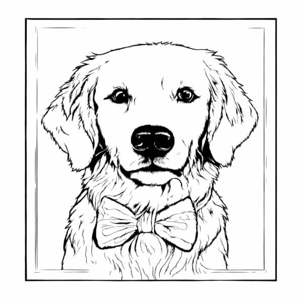 Download Dapper Golden Retriever Dog Illustration Coloring pages Online ...