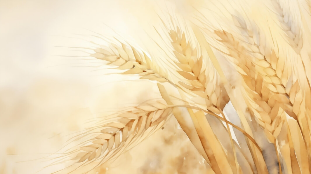 Download Watercolor Wheat Stalks Backgrounds Online - Creative Fabrica