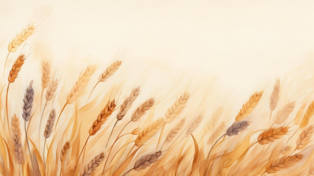Download Wheat Field Illustration Backgrounds Online - Creative Fabrica