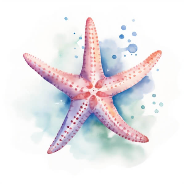 Descarga Ilustración de una estrella de mar Fondos En Línea - Creative ...
