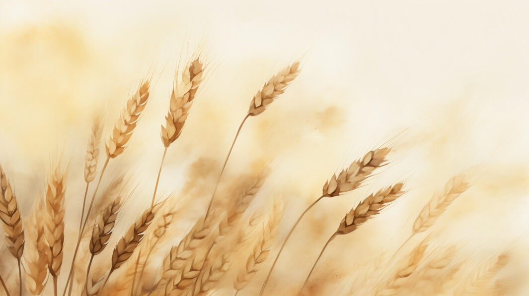 Download Wheat Stalks on a Soft Warm Background Backgrounds Online ...