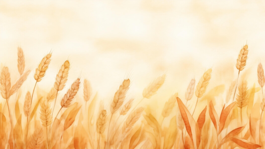 Download Golden Wheat Field Backgrounds Online - Creative Fabrica