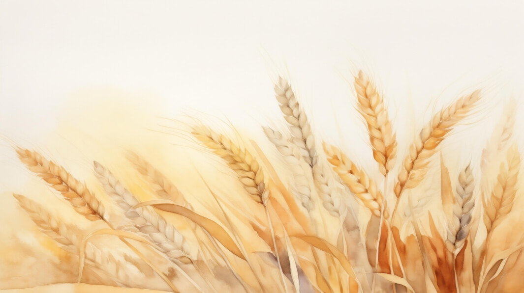 Download Watercolor Wheat Stalks Backgrounds Online - Creative Fabrica