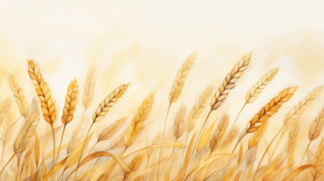 Download Golden Wheat Field Backgrounds Online - Creative Fabrica