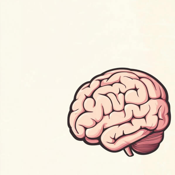 Download Stylized Illustration of a Human Brain Backgrounds Online ...