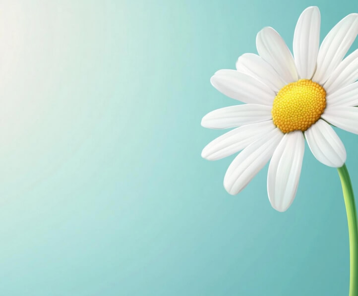 Download Daisy Flower on Light Blue Background Backgrounds Online ...