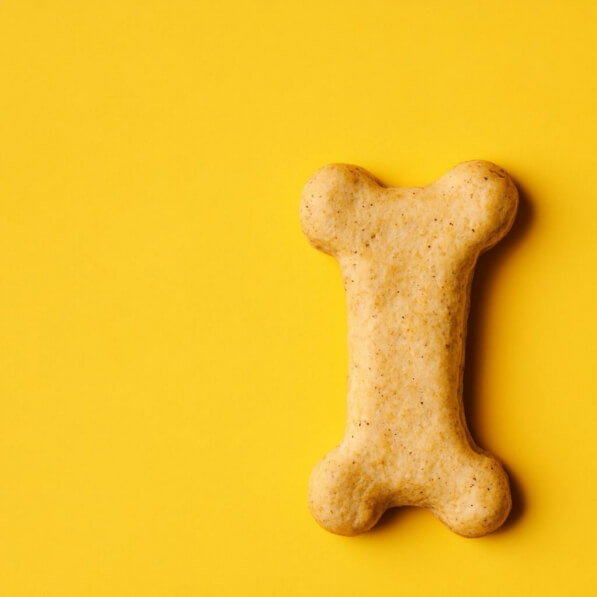 Download Dog Bone Cookie on Yellow Background Backgrounds Online ...
