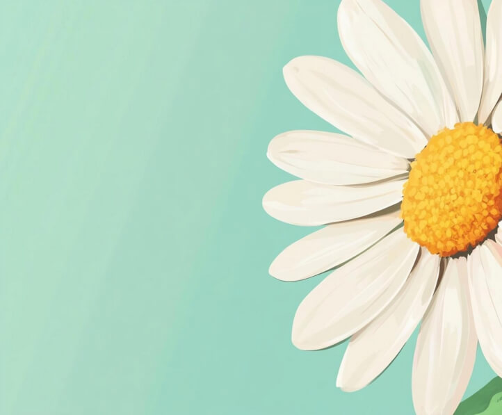 Download Daisy Flower on Turquoise Background Backgrounds Online ...
