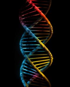 Free Science Stock Photos: Commercial Use & Royalty Free - Creative Fabrica