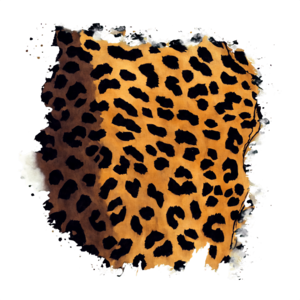 Download Distressed Leopard Print Fabric for Decorative or Fashion Use ...